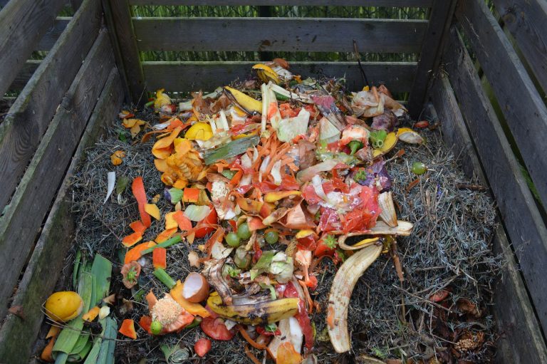 How to Save Money On Soil by Starting A Compost