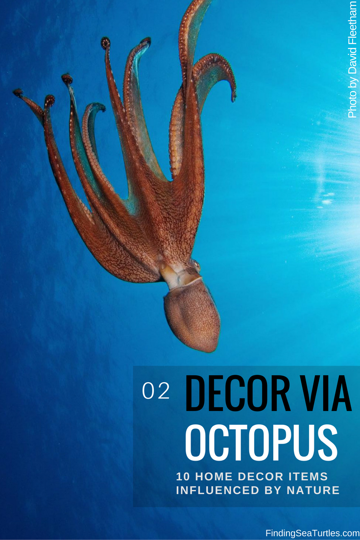 10 Octopus Home Decor Accessories for your Coastal Home