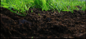 How to Turn Your Soil into High Performing Soil – 3 Types of Soil You ...