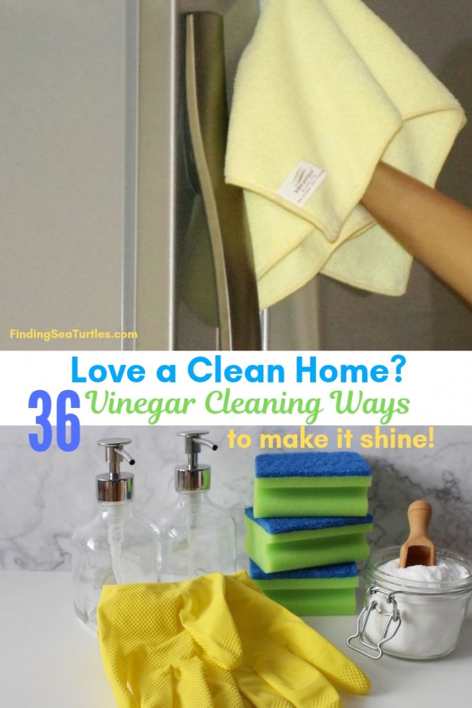 36 Vinegar Cleaning Tips for Kitchen and Bathroom