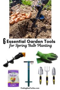 6 Essential Tools for Planting Spring Bulbs