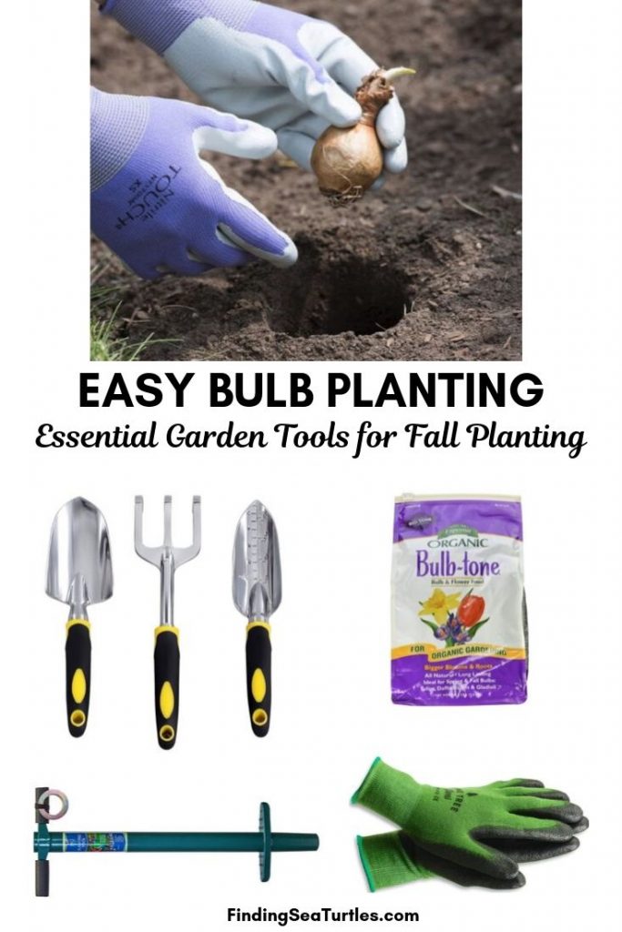6 Essential Tools for Planting Spring Bulbs
