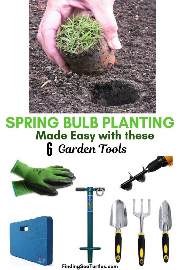 6 Essential Tools for Planting Spring Bulbs