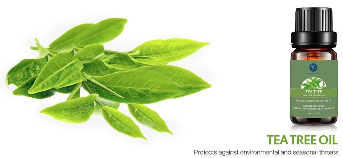 Homemade Cleaners for the Frugal Home