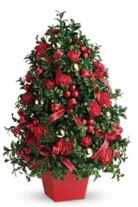 Best Fresh Tabletop Christmas Trees