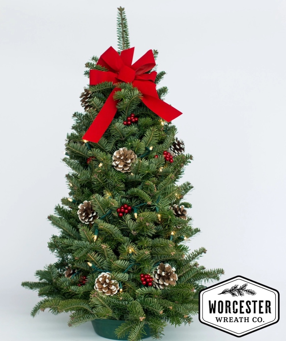 Best Fresh Tabletop Christmas Trees