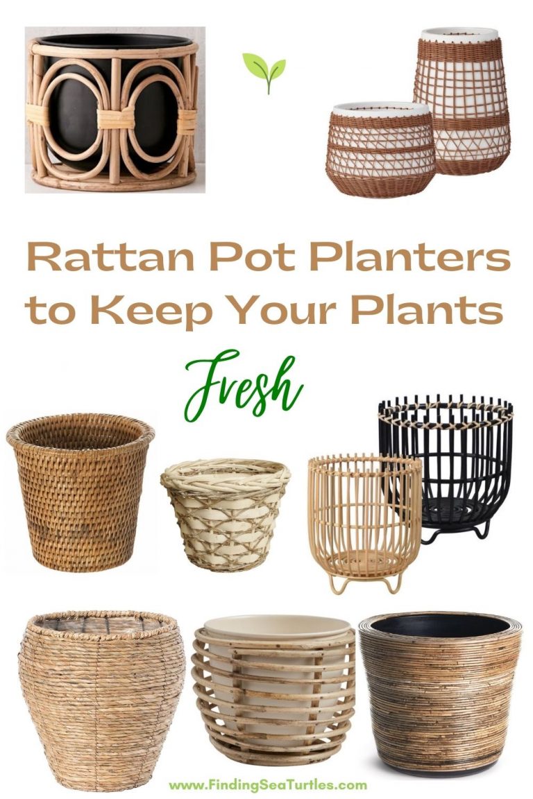 15 Best Rattan Pot Planters with Boho Style