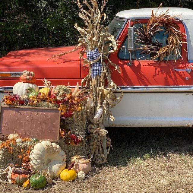 35 Most Inspiring Fall Porch Styling Ideas to Celebrate the Season